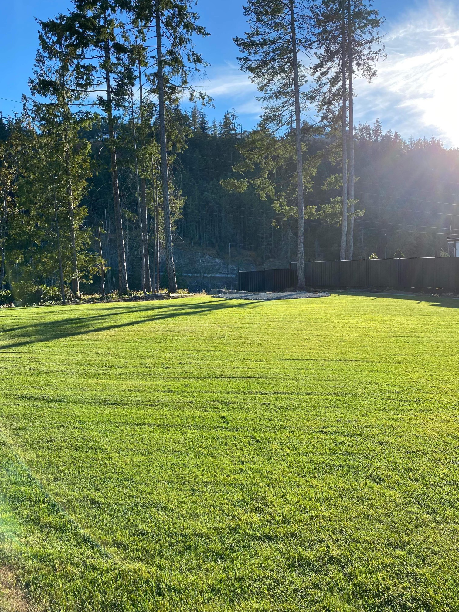 Residential-Hydroseed-7 – Raincoast Erosion Control Ltd.